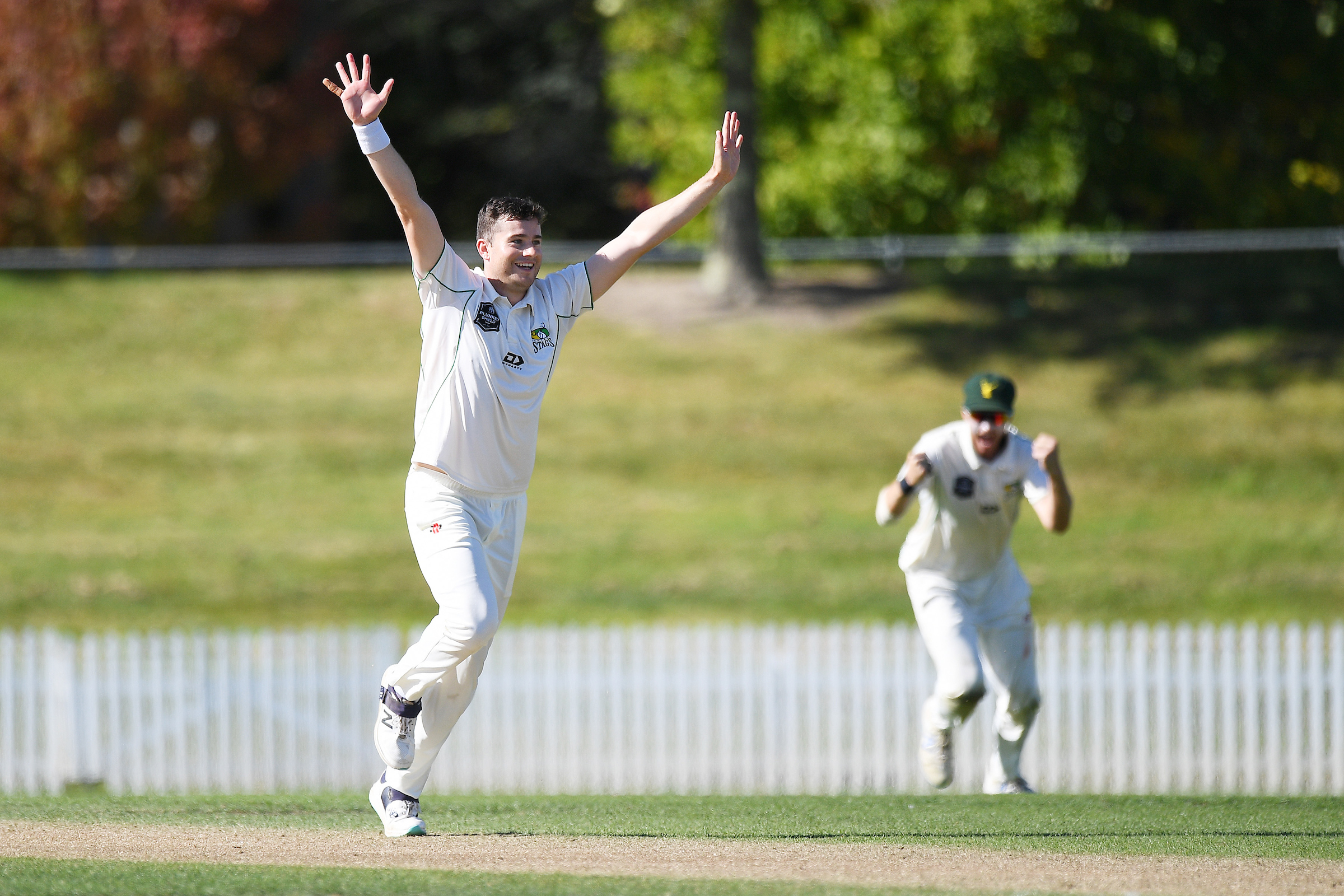 Plunket Shield Season Statchat | NZC